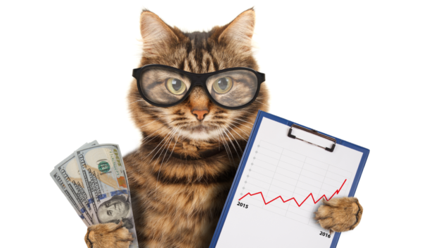 5 Tax Deductions Available for Pet Owners in 2021